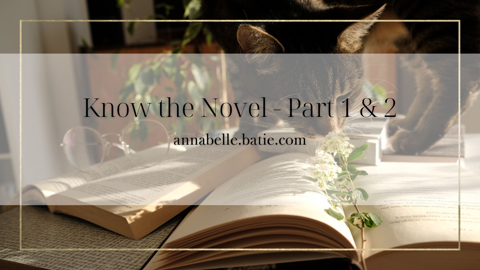 Know the Novel: Part 1 & 2 - Pen & Ink